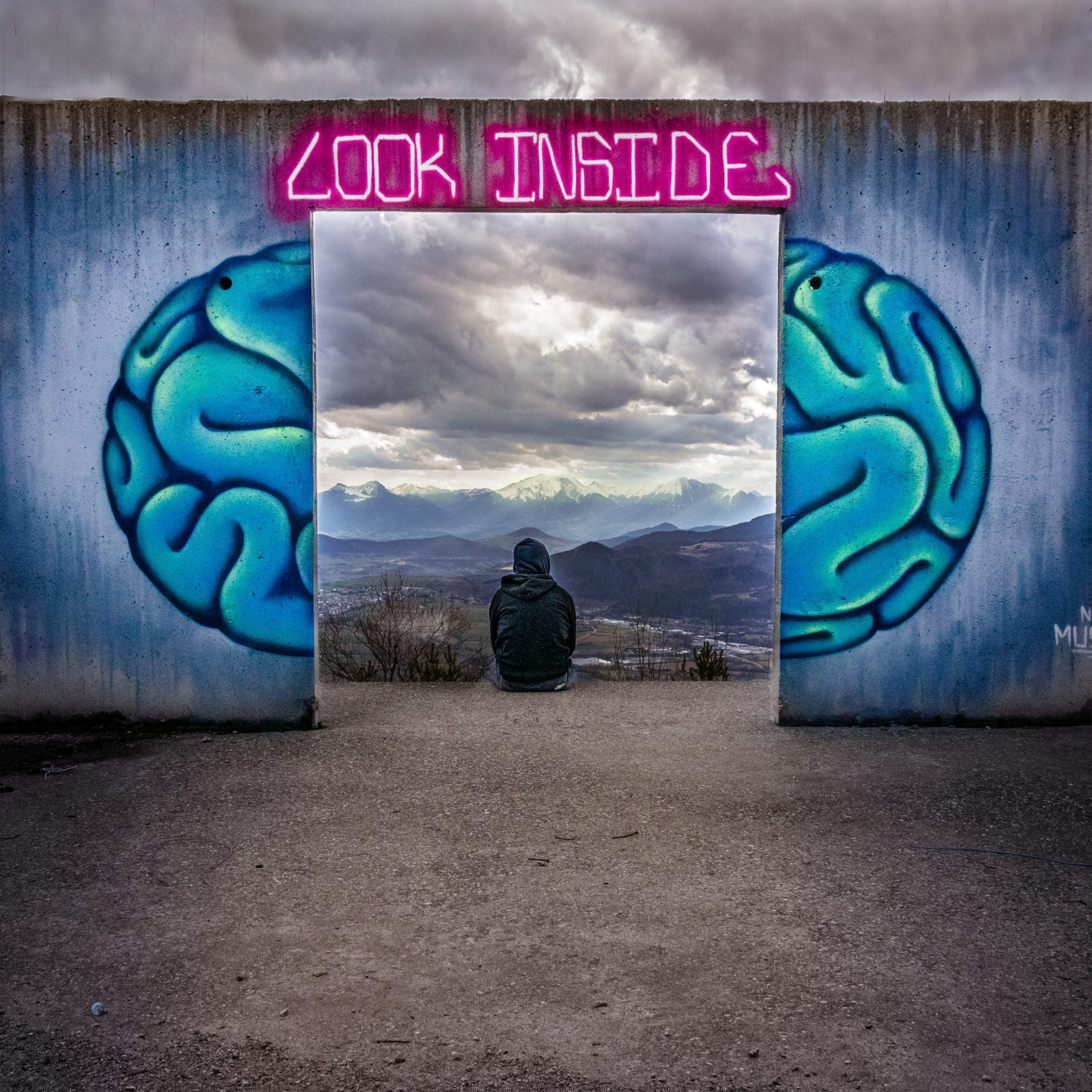 Portfolio - NEO MUSTY